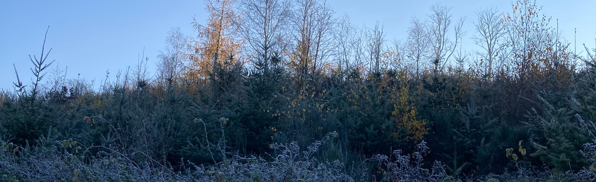 Iserlohn Rundweg 2 | Map, Guide - North Rhine-Westphalia, Germany ...