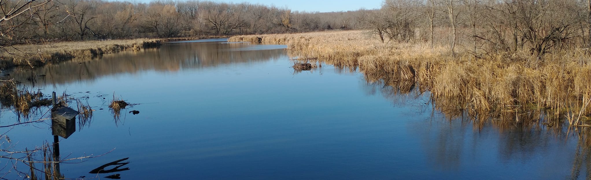 Lake Kegonsa Waterfront Loop: 94 Reviews, Map - Wisconsin | AllTrails
