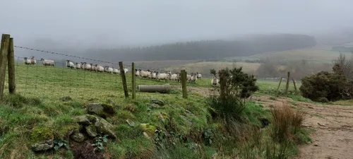 Best Trails, Walks, and Paths in Strabane | AllTrails