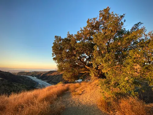 Best Hikes and Trails in Getty View Park | AllTrails