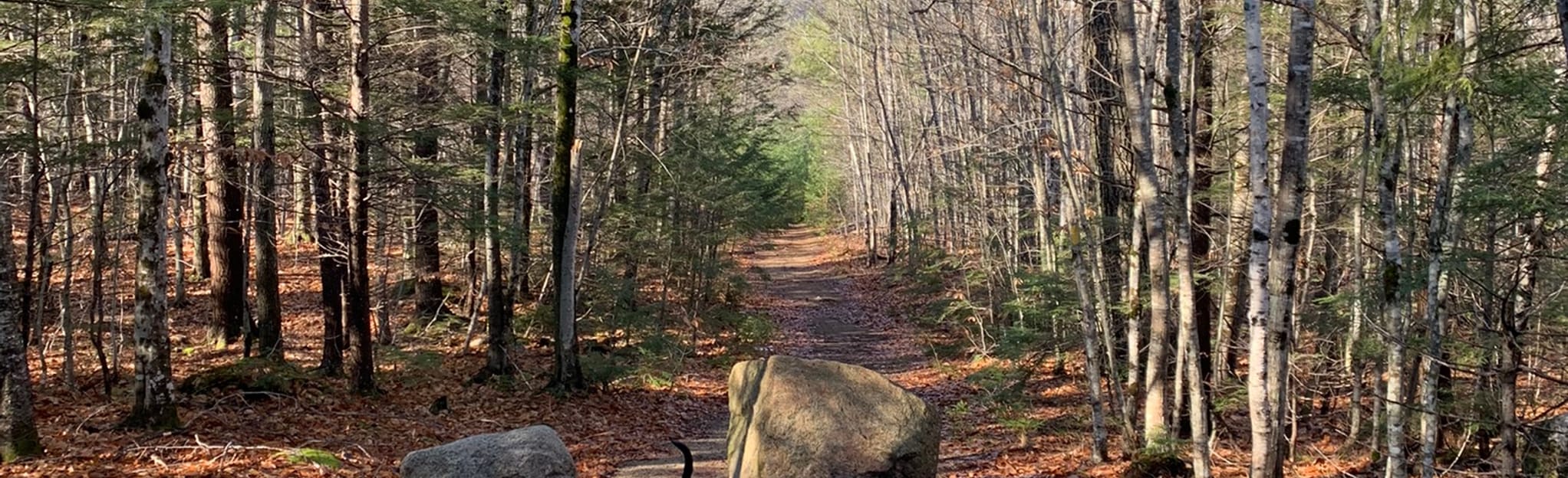 Mineral Site, New Hampshire - 232 Reviews, Map | AllTrails