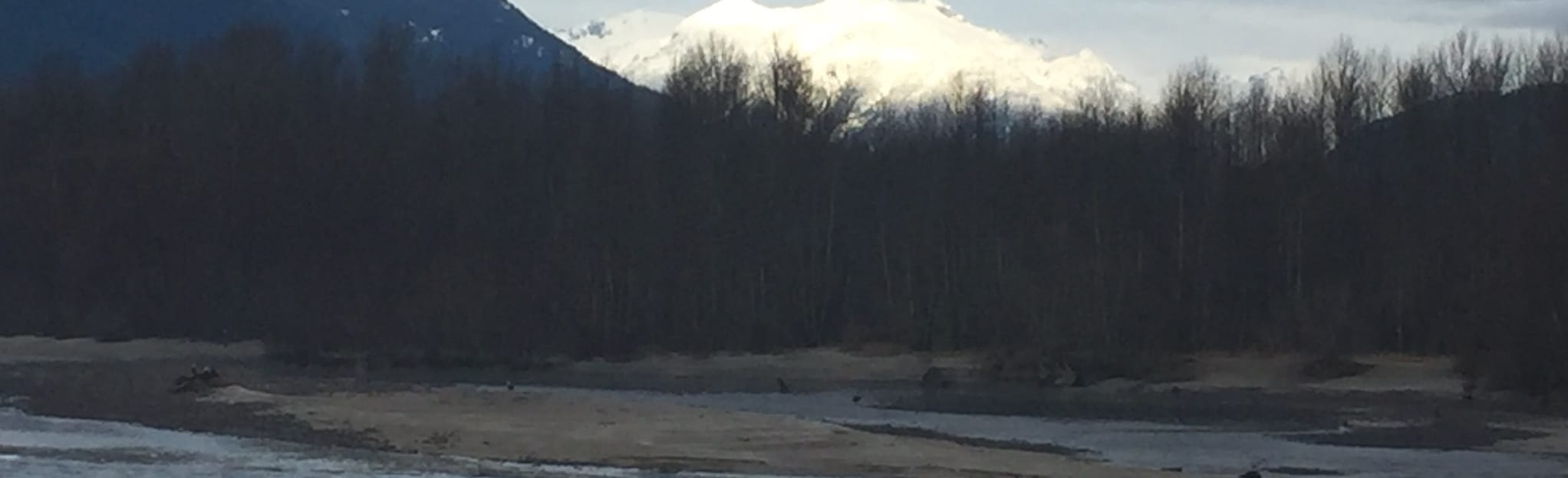 Eagle Run: 32 Reviews, Map - British Columbia, Canada | AllTrails