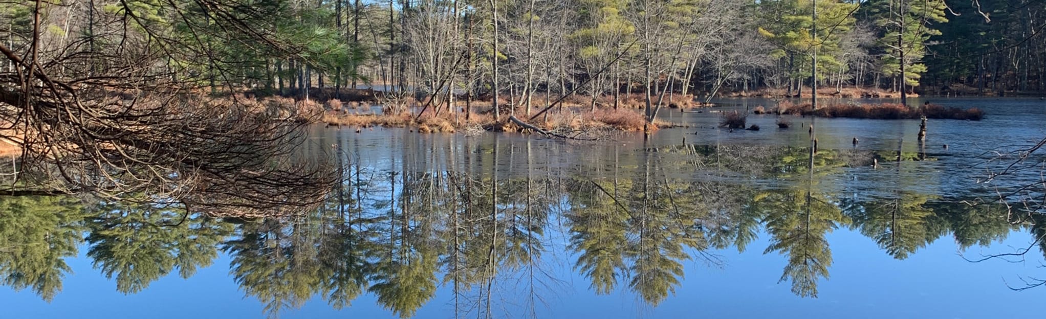 Nancy Johnson, Foster's Pond, Marsh, and Pond Link Trail Loop : 98 ...