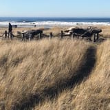 Long Beach Boardwalk and Discovery Trail Loop, Washington - 100 Reviews ...