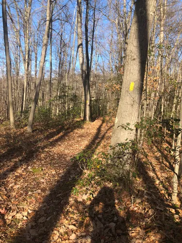 Best Hikes and Trails in Snake Hill Wildlife Management Area | AllTrails