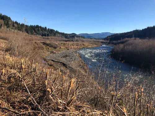 Best Easy Trails in Enumclaw | AllTrails