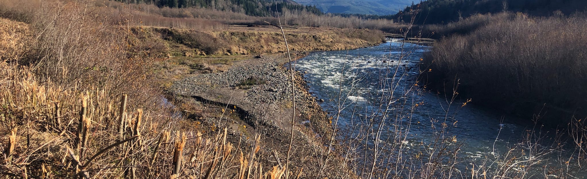 Mud Mountain Dam River Trail : 115 Photos - État de Washington ...