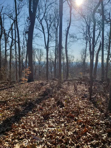 10 Best Walking Trails in Watchung Reservation | AllTrails