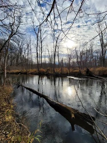 Best Hikes and Trails in Fawn River Nature Preserve | AllTrails
