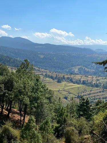 10 Best Forest Trails in Insurgente Miguel Hidalgo y Costilla - La ...