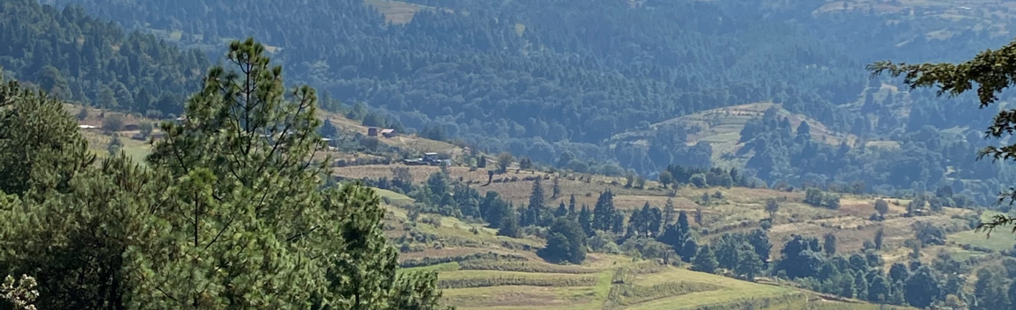 Bosque Marquesa: 1 Reviews, Map - México, Mexico | AllTrails