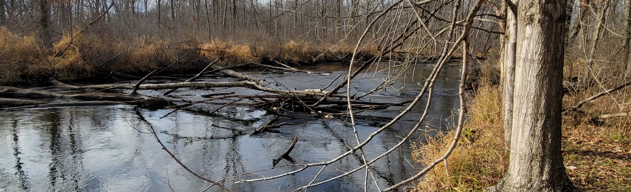 Fawn River Nature Preserve Loop | Map, Guide - Indiana | AllTrails