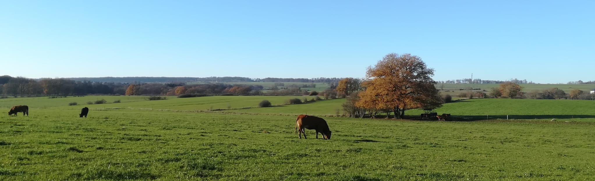 Tuntange Loop: 25 foto's - Luxemburg, Luxemburg | Wandelen - AllTrails