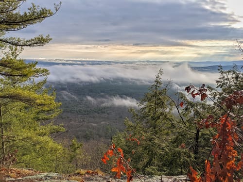 2023 Best 10 Trails and Hikes in Sheffield | AllTrails