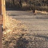 Ketner Reservoir Path, Colorado - 212 Reviews, Map | AllTrails