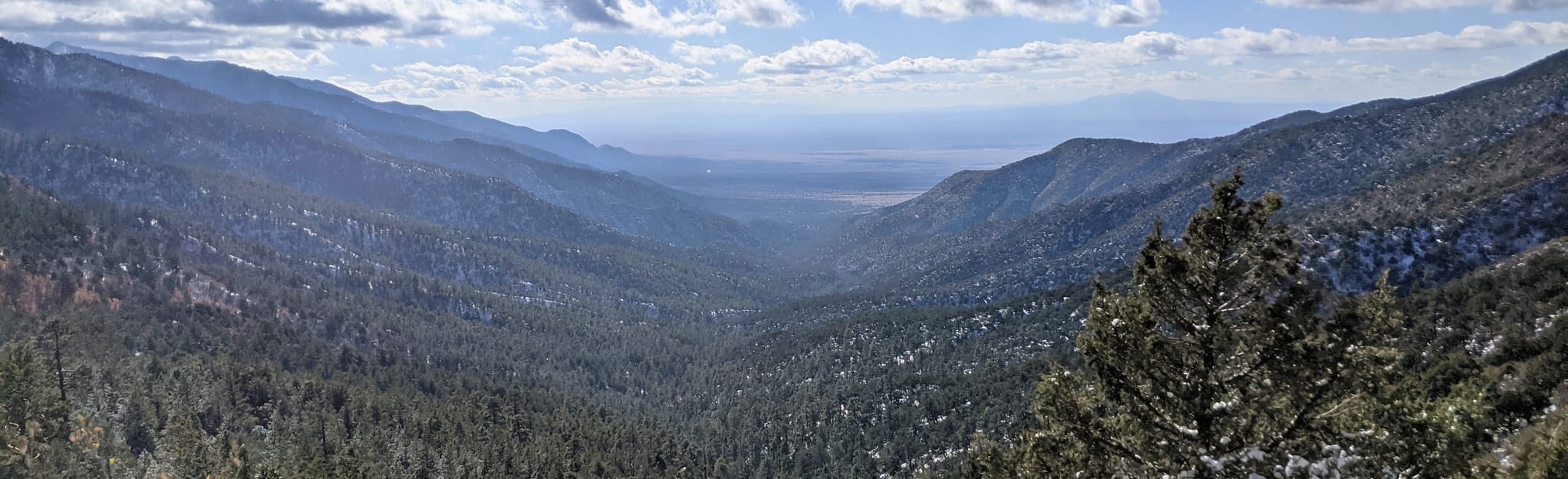 Bosque Trail Loop, New Mexico - 10 Reviews, Map | AllTrails