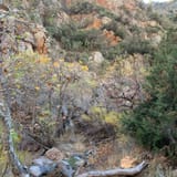 Sunflower Mine OHV Trail, Arizona - 31 Reviews, Map | AllTrails