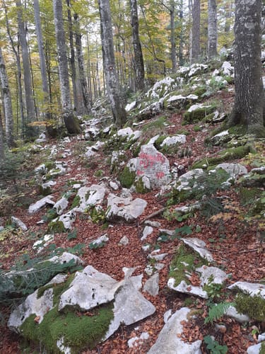 2023 Best Hard Trails in Bijele i Samarske stijene | AllTrails