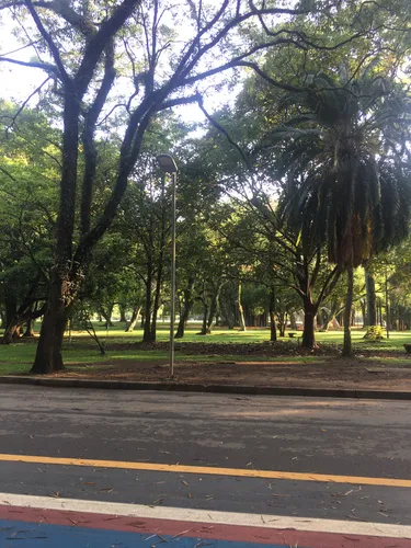 As 10 melhores trilhas e caminhadas em São Paulo | AllTrails