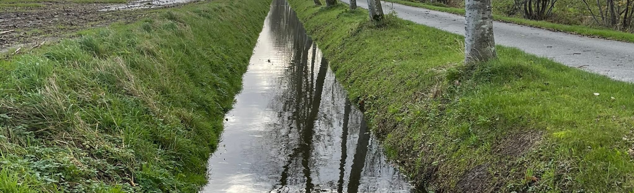 Moerkerke Loop, West Flanders, Belgium - Map, Guide | AllTrails