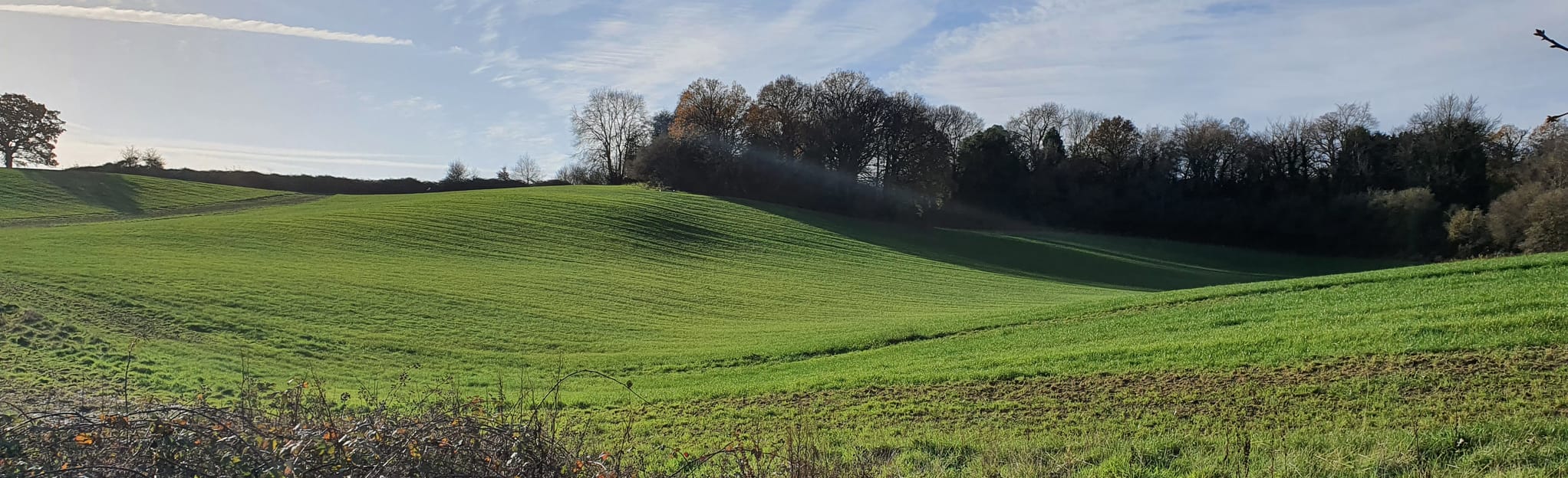 Lindfield and Haywards Heath Golf Course Circular - West Sussex ...