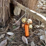 Linear Trail, Kansas - 194 Reviews, Map | AllTrails