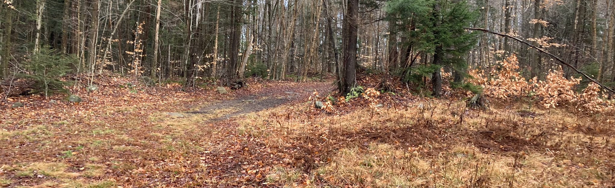 Fox Run Trail (Red), New York - 5 Reviews, Map | AllTrails