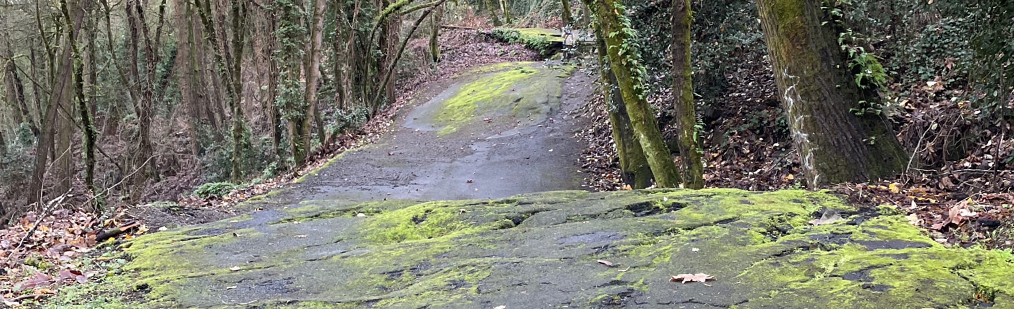 Waterboard Park Road, Oregon - 108 Reviews, Map | AllTrails