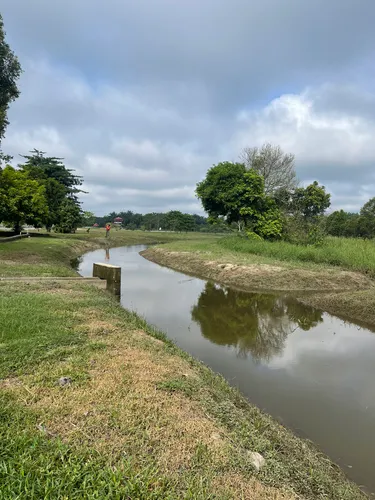 Best Views Trails in Bandar Bera | AllTrails