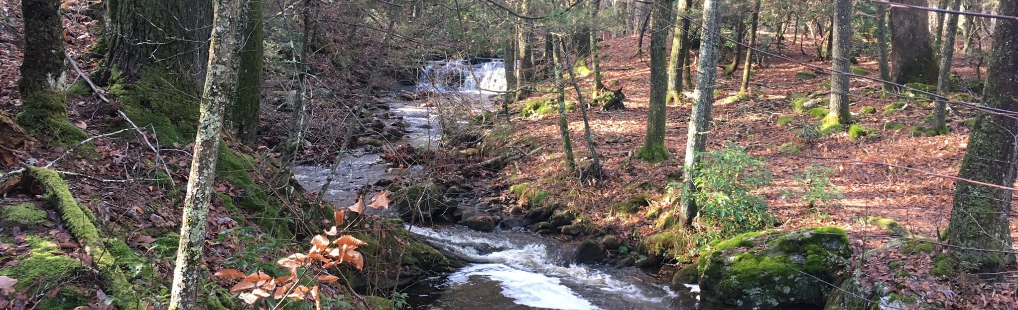 Devils Hopyard Blue and Yellow Loop, Connecticut - 160 Reviews, Map ...