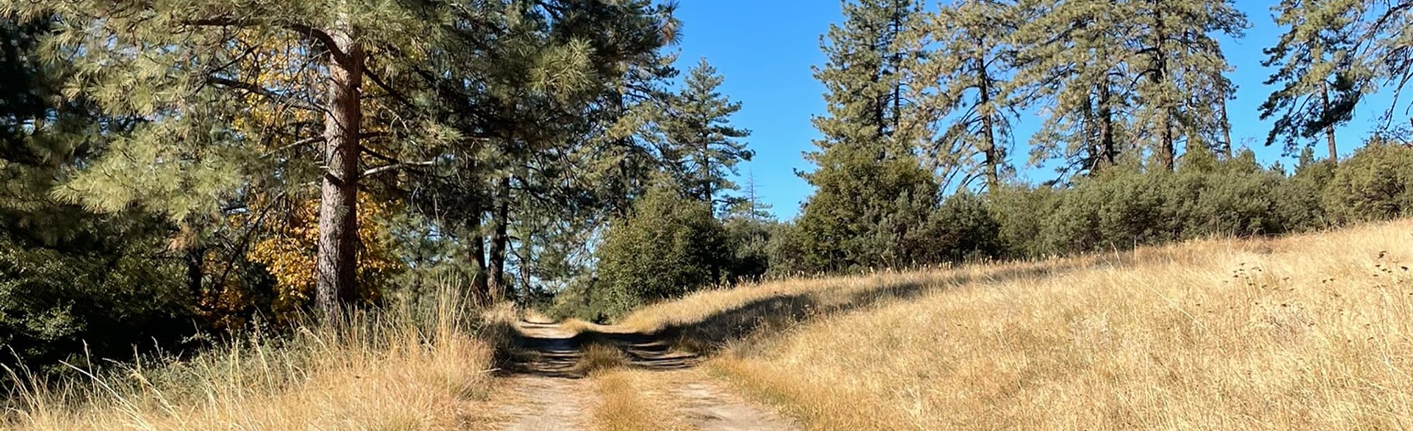 Smokestack and Red Hill Road Loop: 27 Reviews, Map - California | AllTrails
