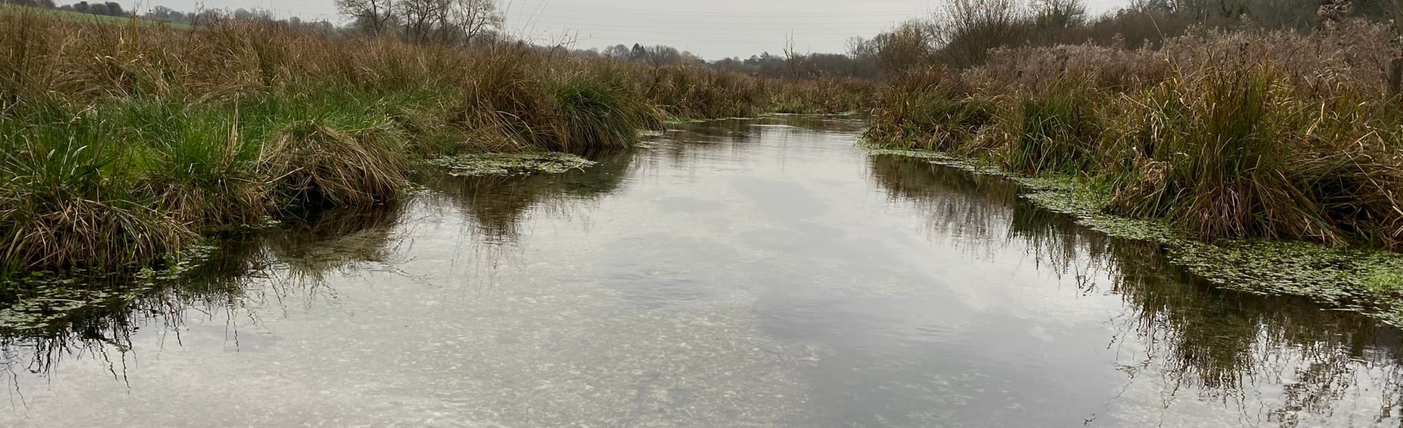 Fulley Wood and Kilmeston Circular: 11 Reviews, Map - Hampshire ...