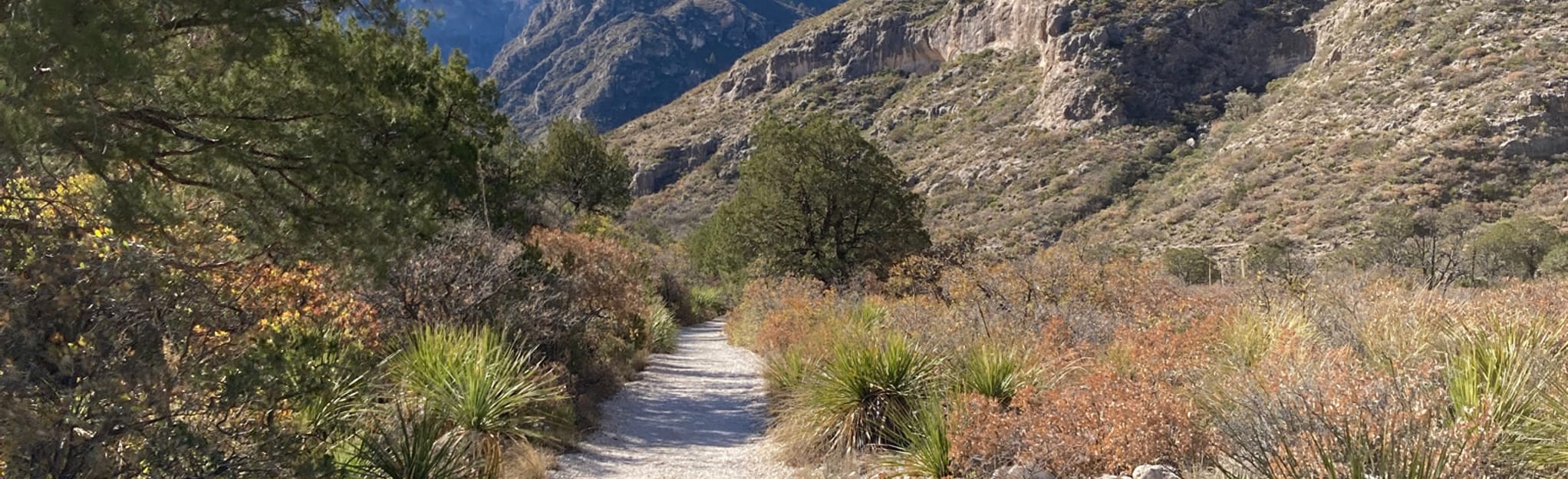Tejas Trail and McKittrick Ridge, Texas - 32 Reviews, Map | AllTrails
