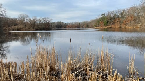 2023 Best 10 Trails and Hikes in Rochester | AllTrails