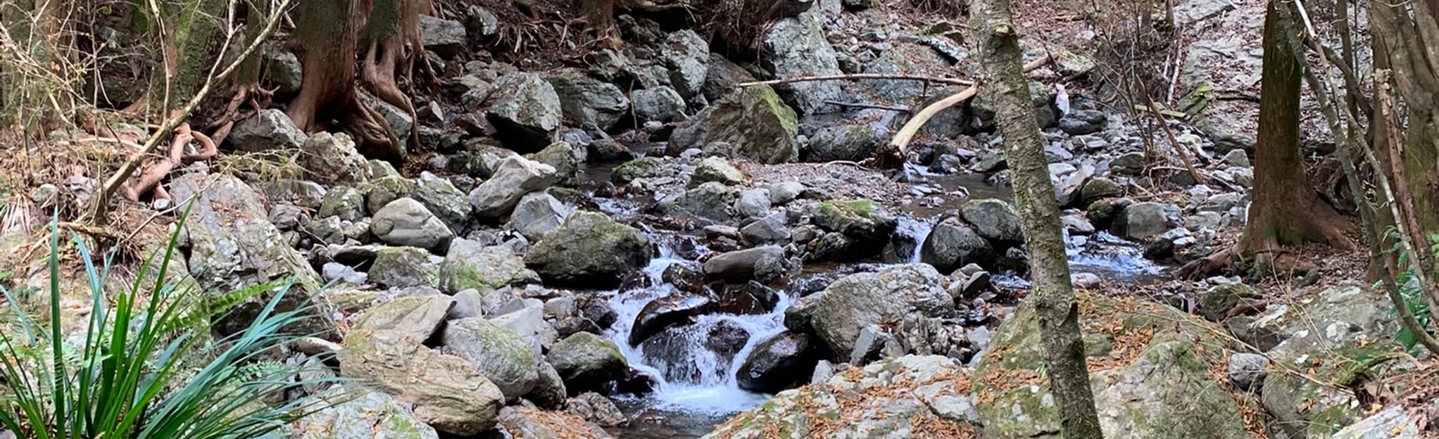 Ushihama Station - Odake Limestone Caves - Tokyo, Japan | AllTrails