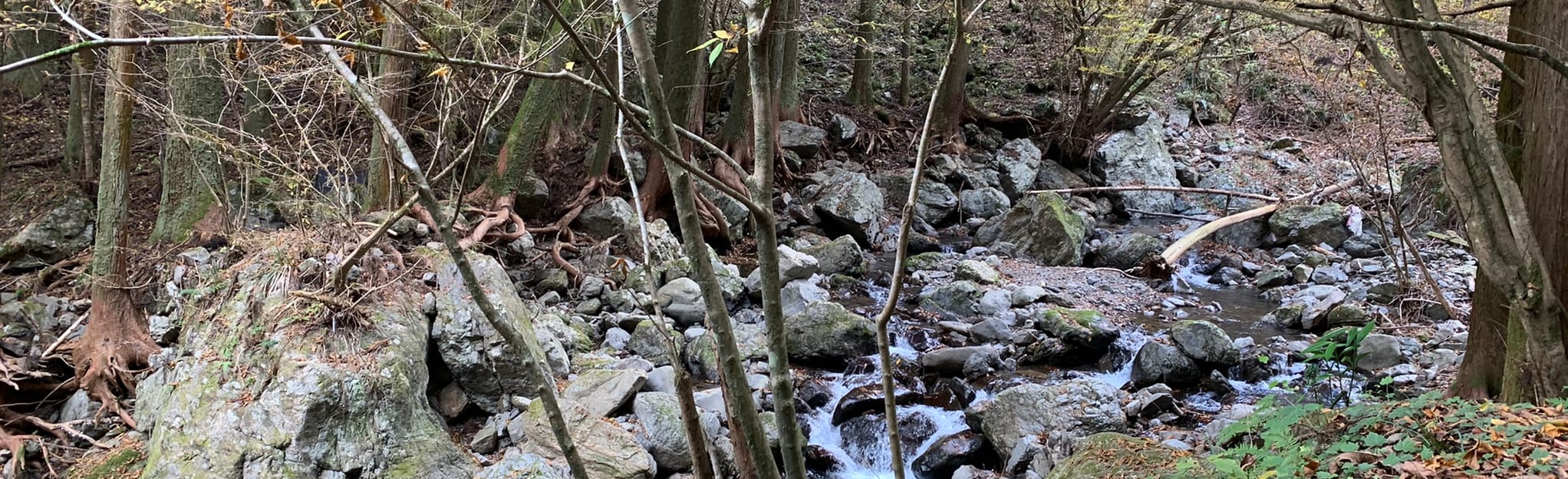 Otake Limestone Cave, Tokyo, Japan - Map, Guide | AllTrails