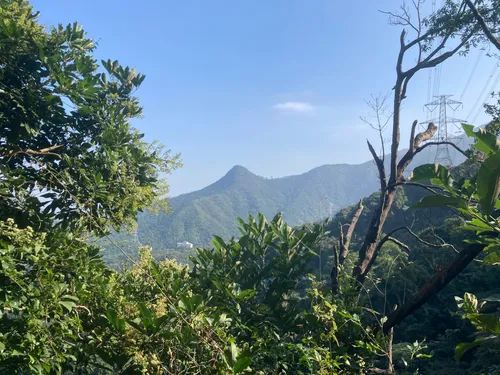 10 Best Hikes and Trails in Tai Lam Country Park | AllTrails
