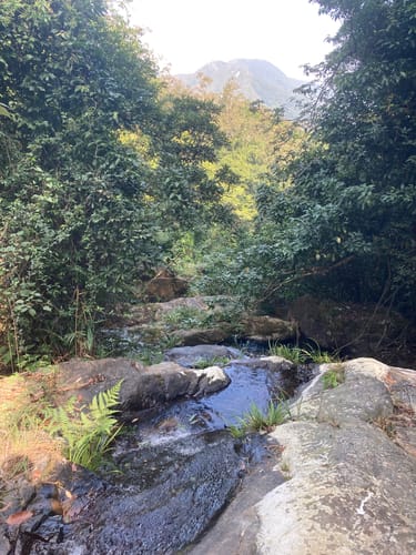 2023 Best 10 Trails in Tai Lam Country Park | AllTrails