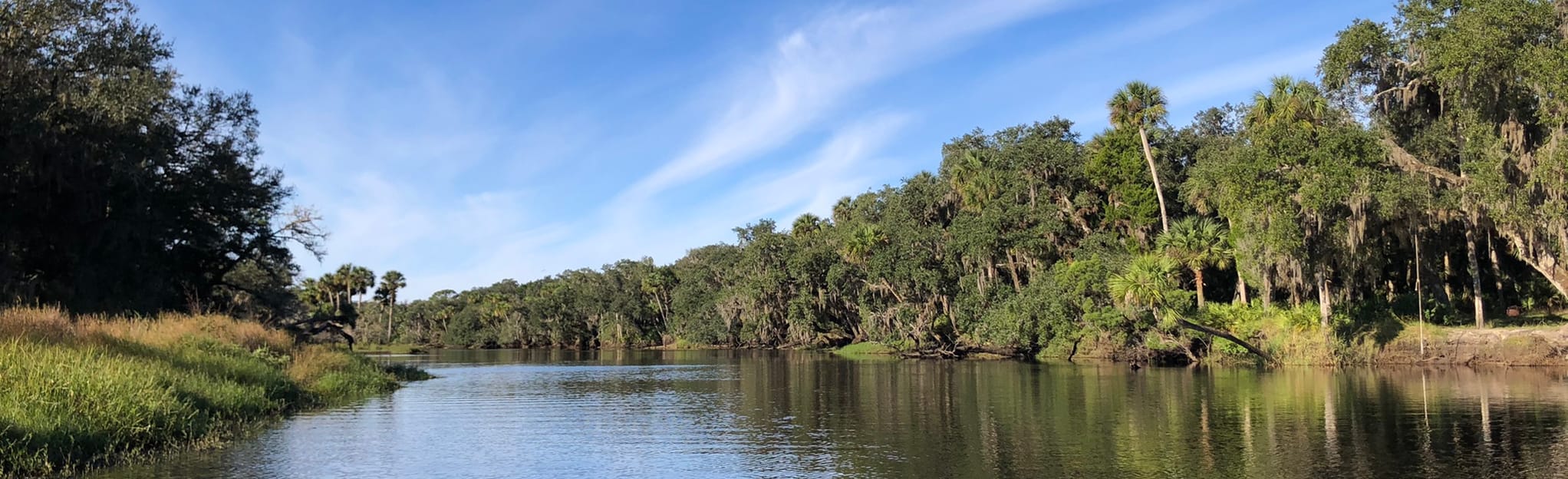 Lower Econ River Paddle, Florida - 16 Reviews, Map | AllTrails