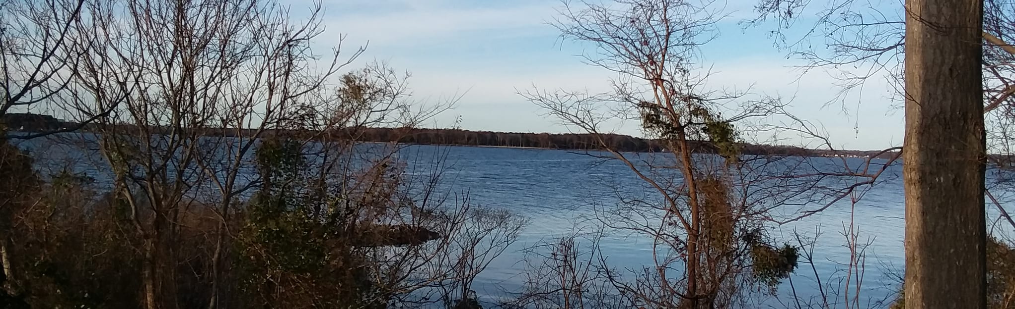 Newtowne Neck Point Trails, Maryland - 27 Reviews, Map | AllTrails