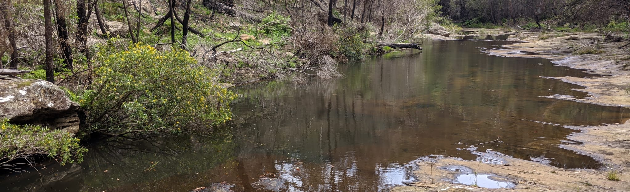 Yerrinbool Falls Loop - New South Wales, Australia | AllTrails