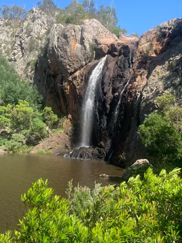 Best Hikes and Trails in Snowy River National Park | AllTrails