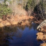 Beaver Brook Trail, Eastman Meadow Trail, and Maple Hill Ridge Loop ...