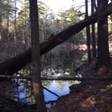 Beaver Brook Trail, Eastman Meadow Trail, and Maple Hill Ridge Loop ...