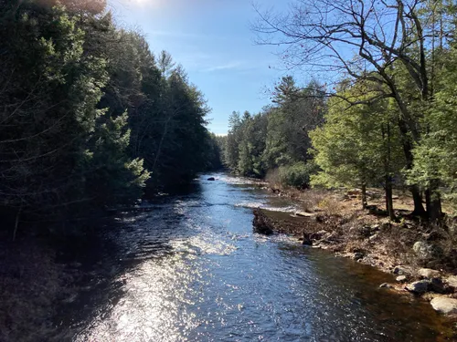 Best Hikes and Trails in Natchaug State Forest | AllTrails
