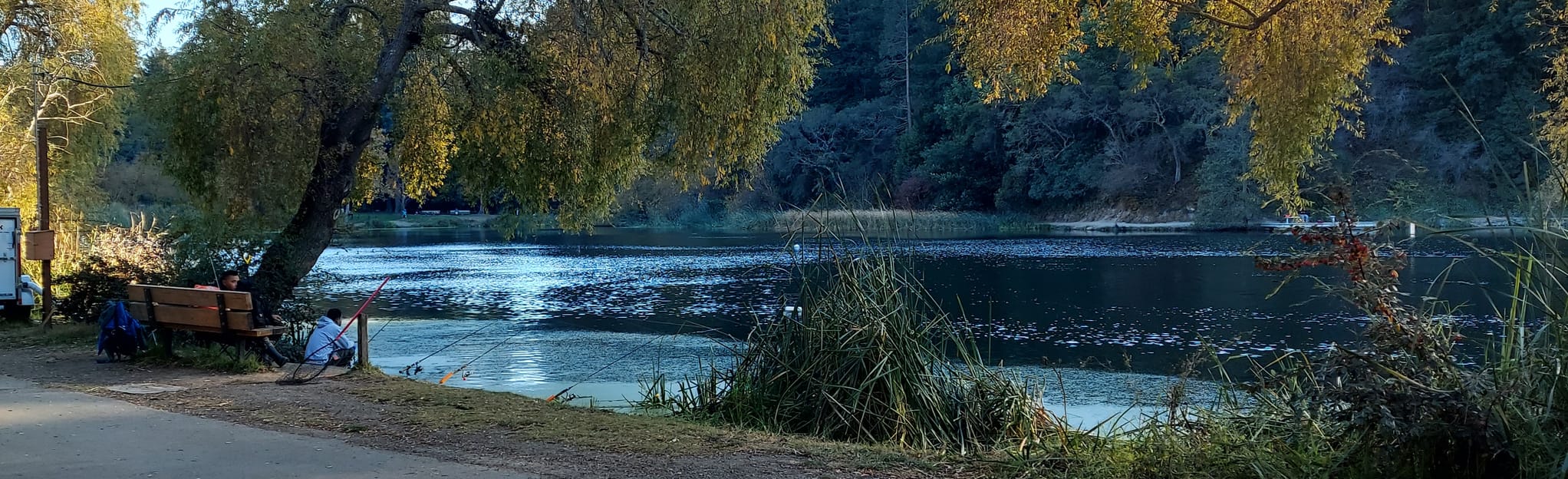 Lake Temescal East Shore Trail, California - 45 Reviews, Map | AllTrails