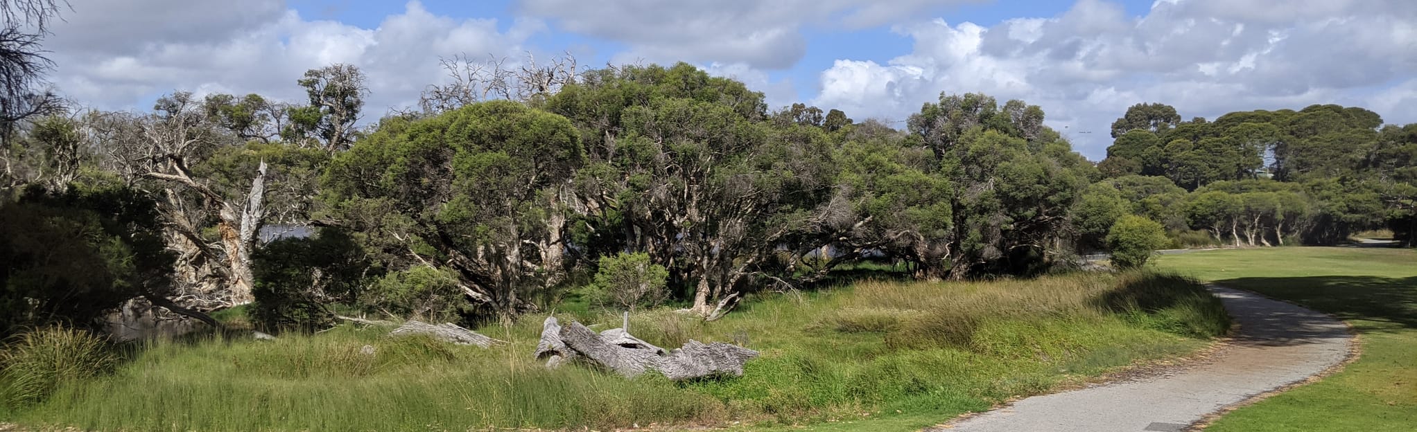 Manning Lake and Northern Boundary Loop, Western Australia, Australia ...
