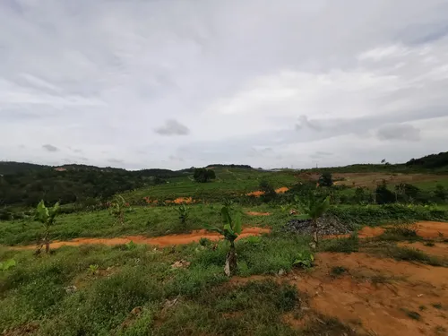 2023 Best Forest Trails in Ulu Tiram | AllTrails