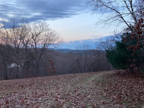 Best Hikes and Trails in Jericho Hill Recreation Area | AllTrails