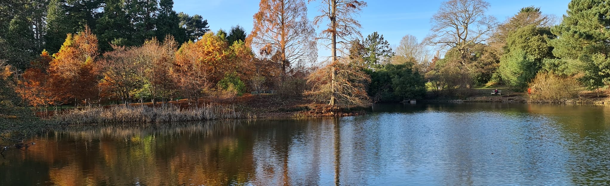 Kew Gardens Walk: 122 Fotos - London, Inglaterra | AllTrails